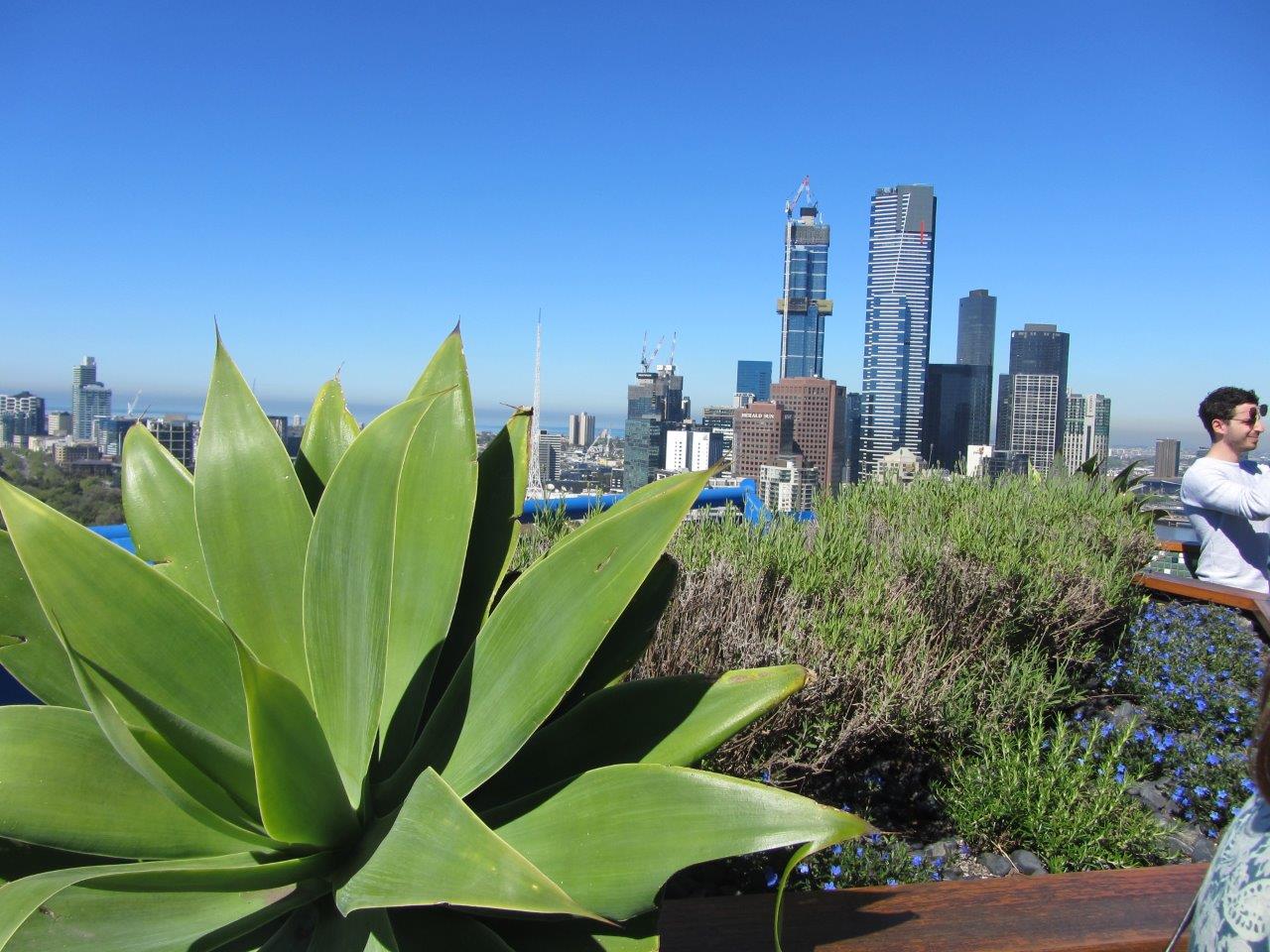 Event Highlight: Greening our Cities - Gardens for High-density Living ...