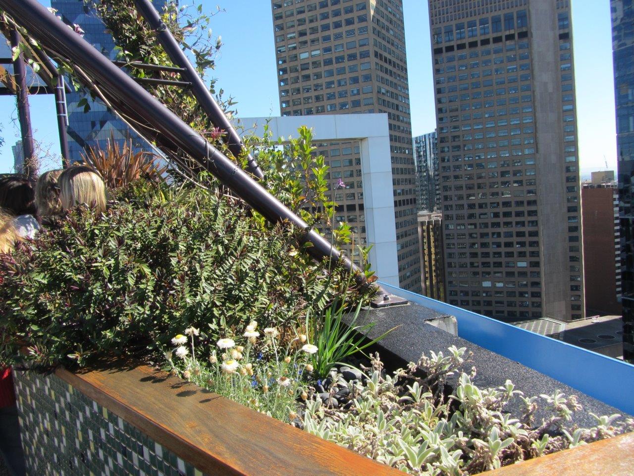 Event Highlight: Greening our Cities - Gardens for High-density Living ...