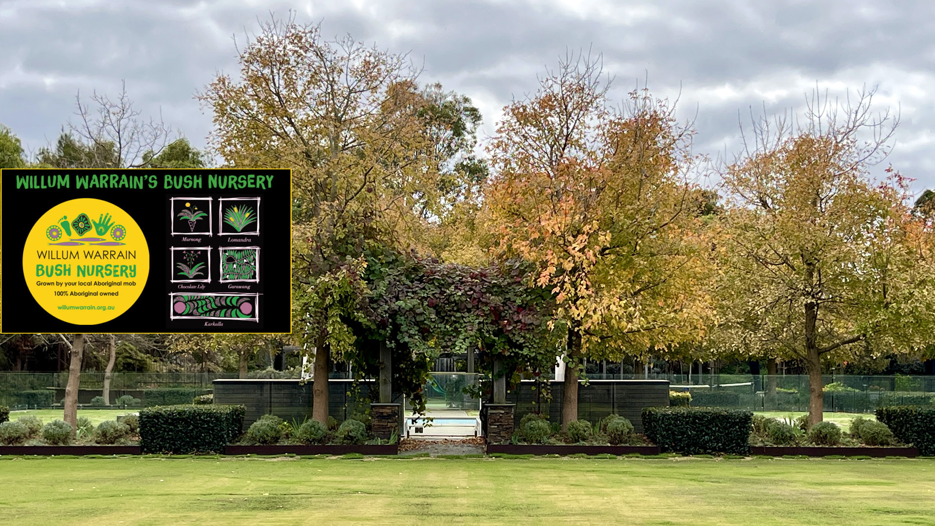 Willum Warrain Bush Nursery & private garden in Balnarring ...